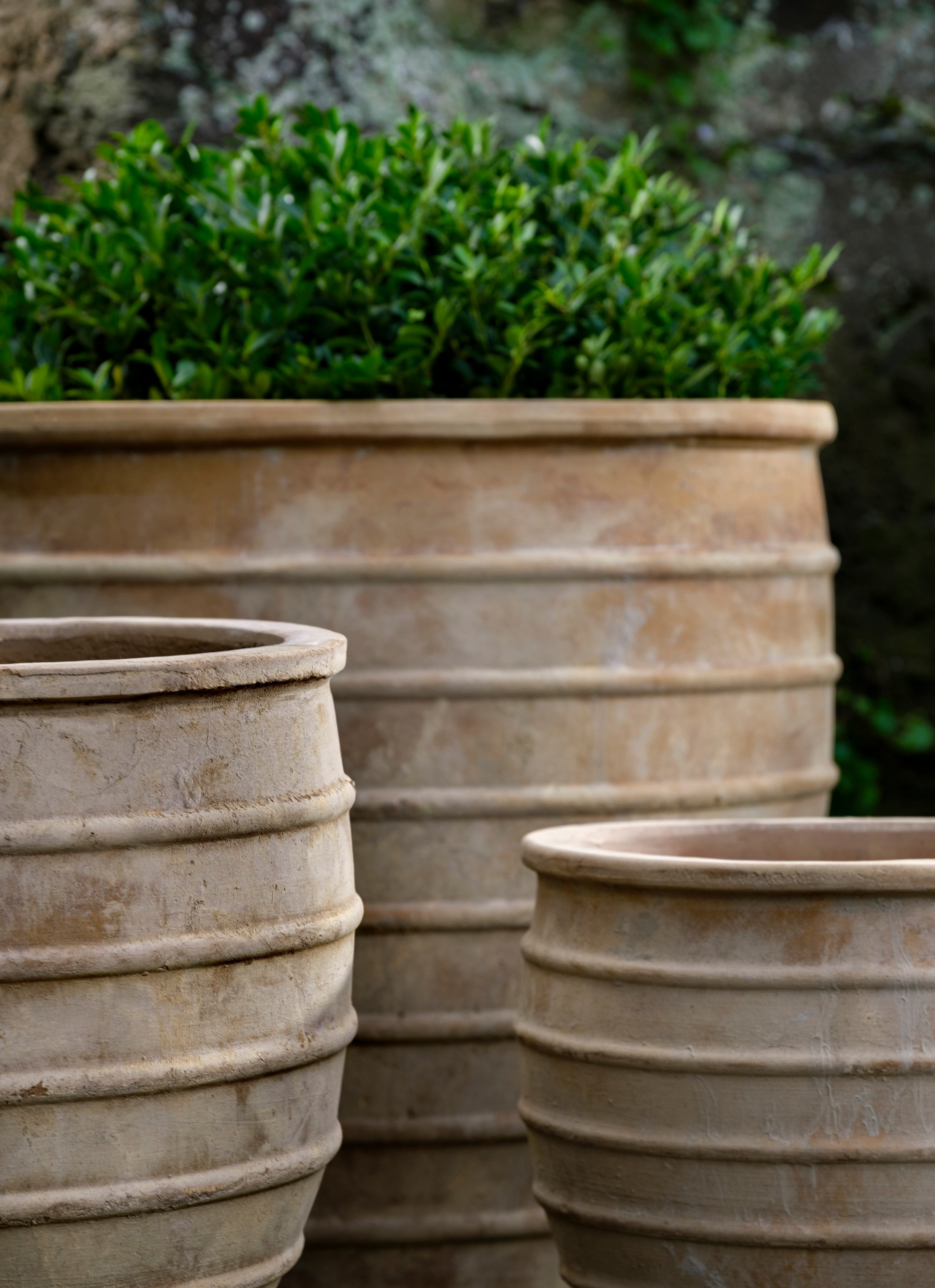 Vari Planter - Set of 3 by Campania International – Birdsall & Co.