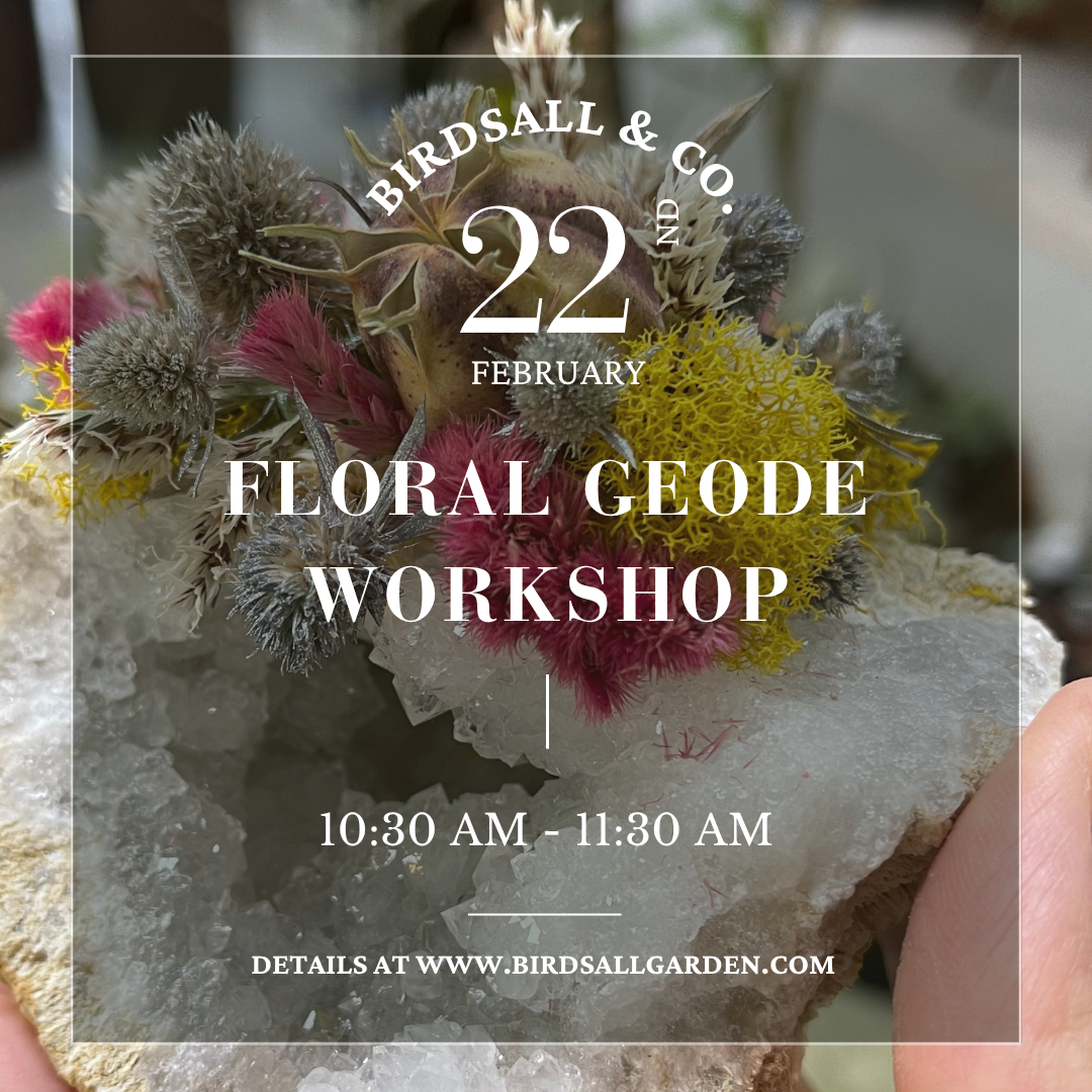Floral Geode Workshop – Birdsall & Co.