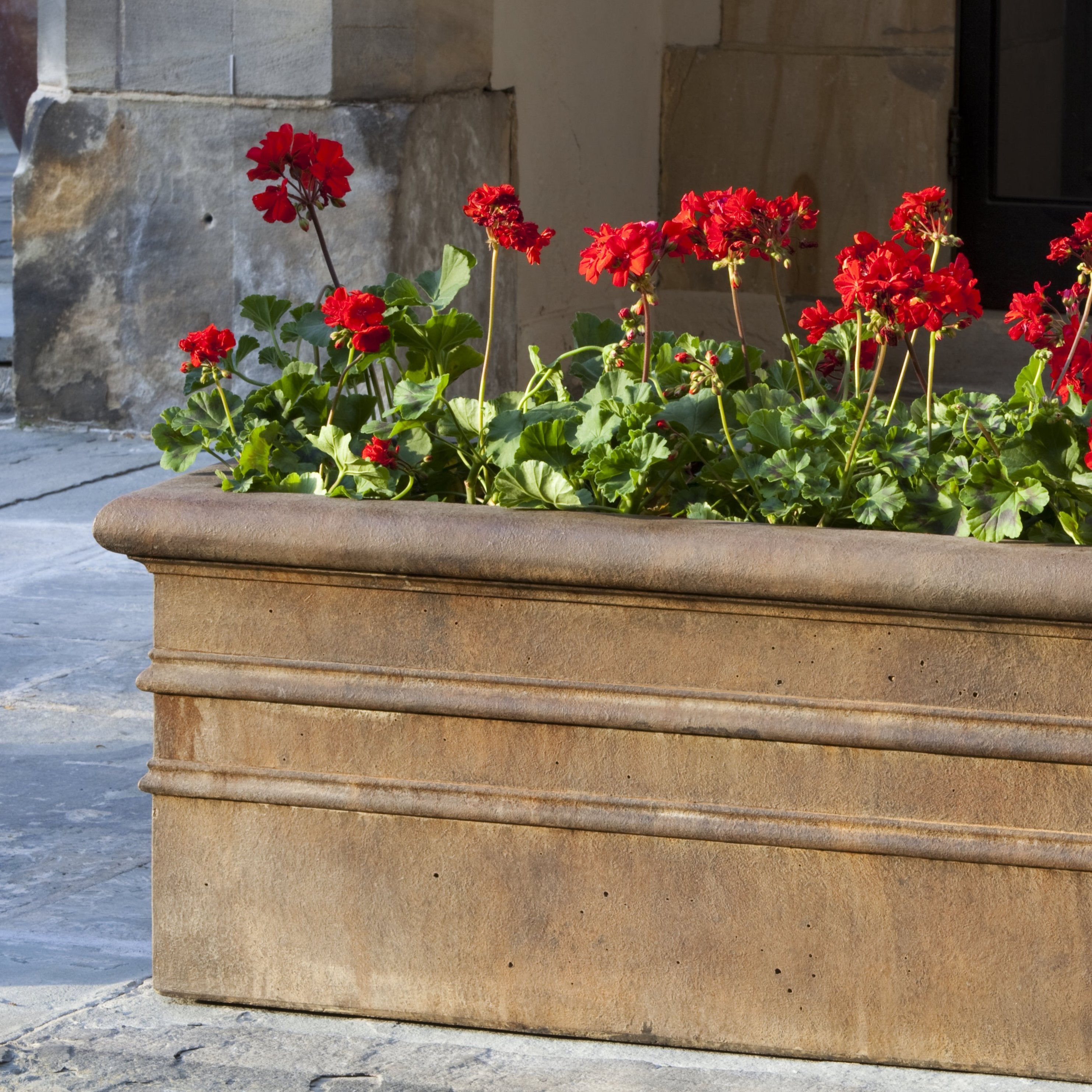Classic Rolled Rim Window Box by Campania International – Birdsall & Co.