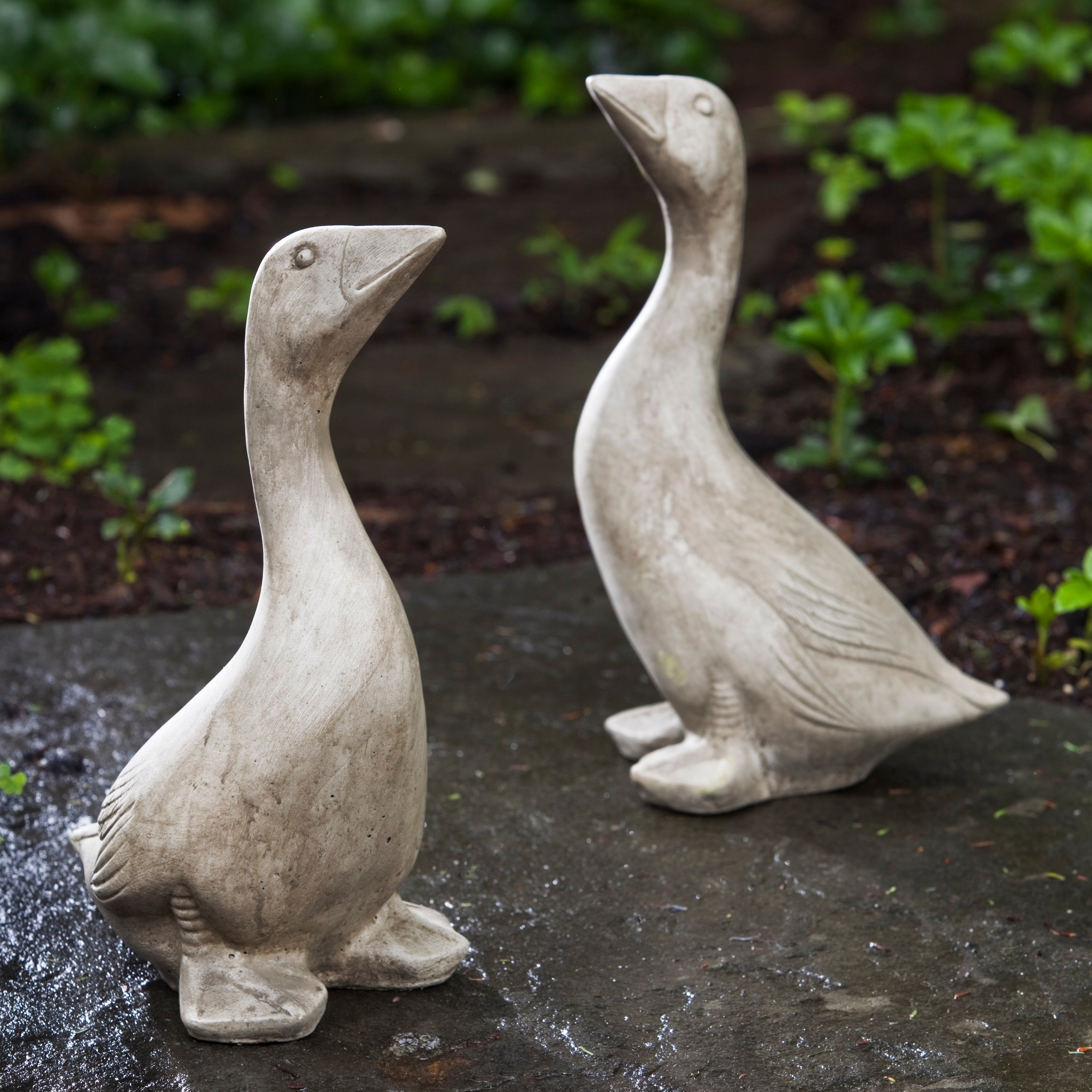 Kate's Goose by Campania International – Birdsall & Co.